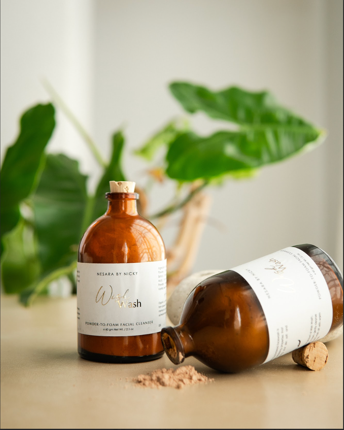 Wish Wash – Nesara by Nicky